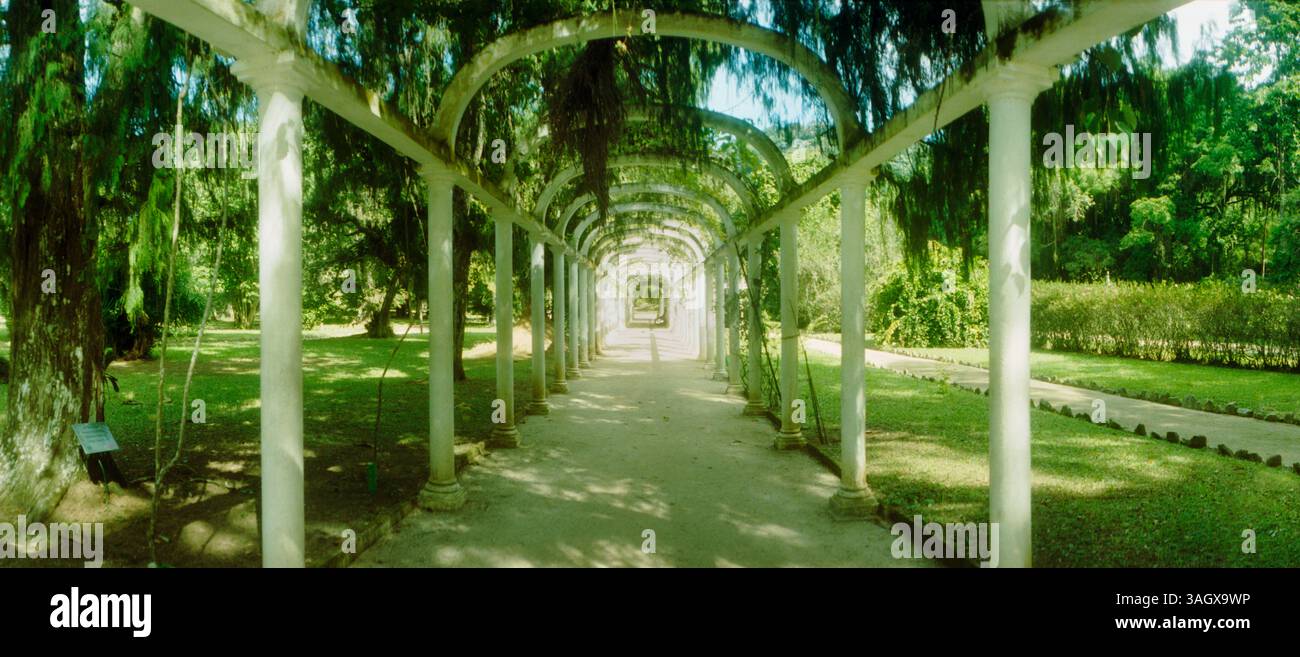 Pathway in a botanical garden, Jardim Botanico, Zona Sul, Rio de ...