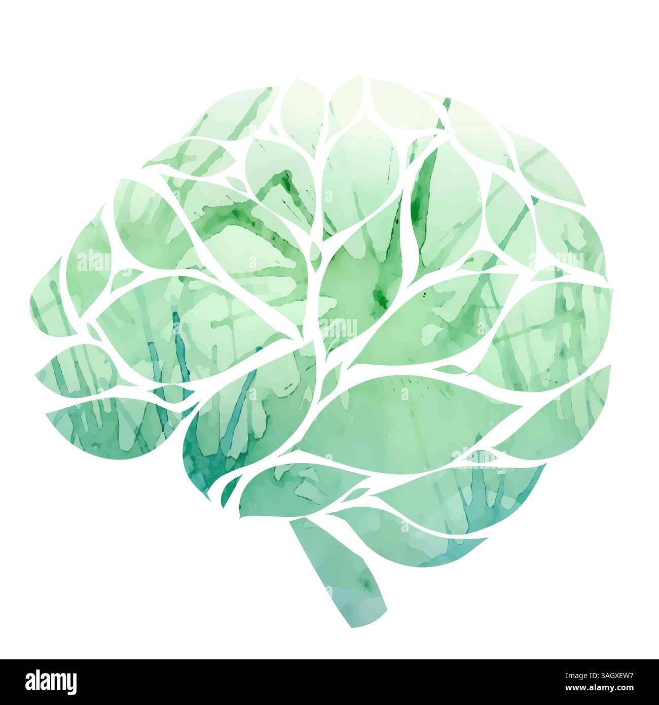 Vector green watercolor silhouette of brain from foliage isolated from ...