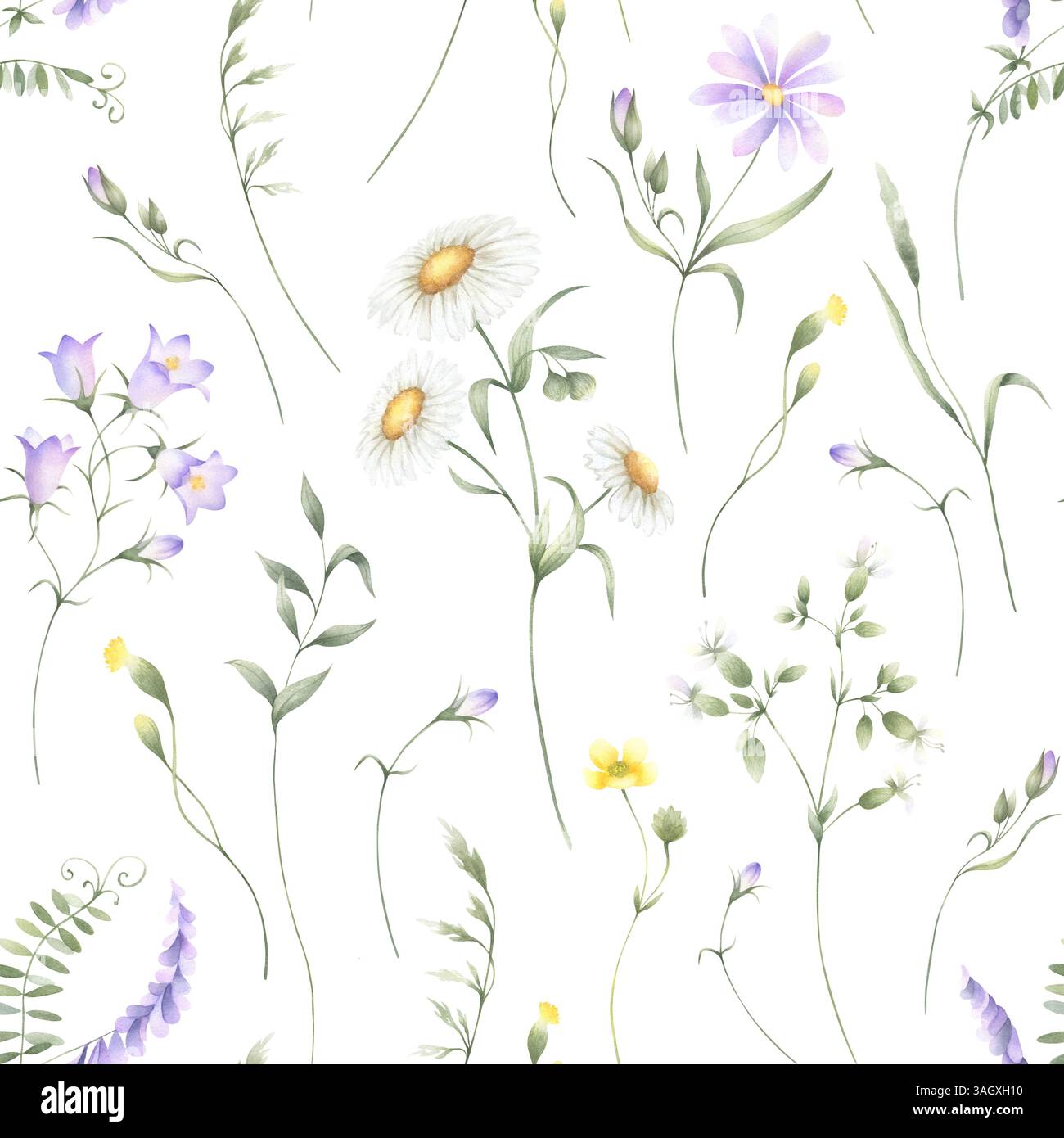 Seamless floral pattern of watercolor wildflowers chamomile, bellflower ...