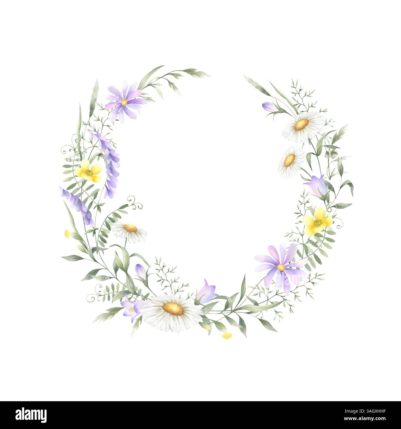 Wildflowers chamomile, bellflower, buttercup, mouse pea and meadow ...