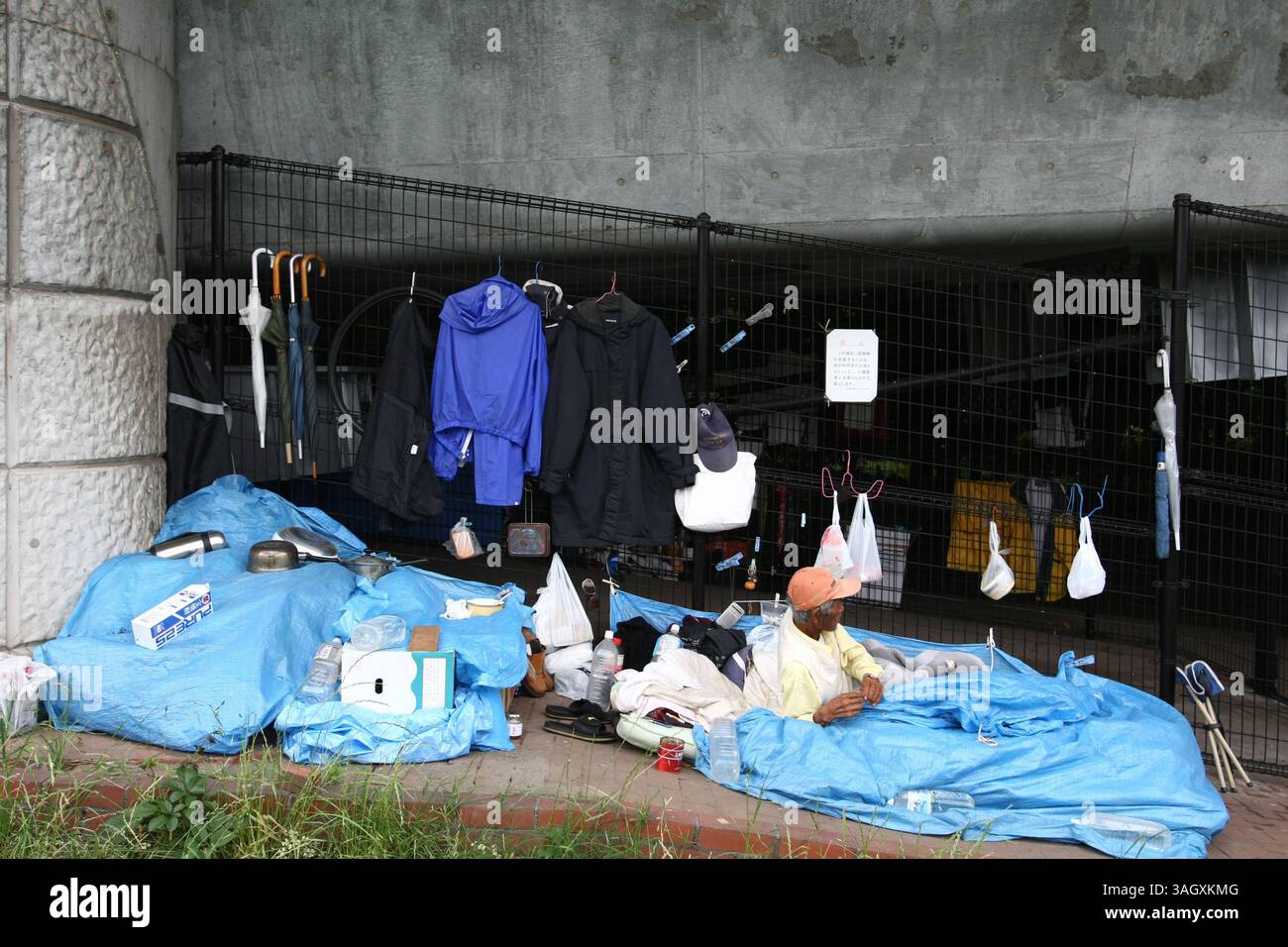 Bear a grudge hi-res stock photography and images - Alamy