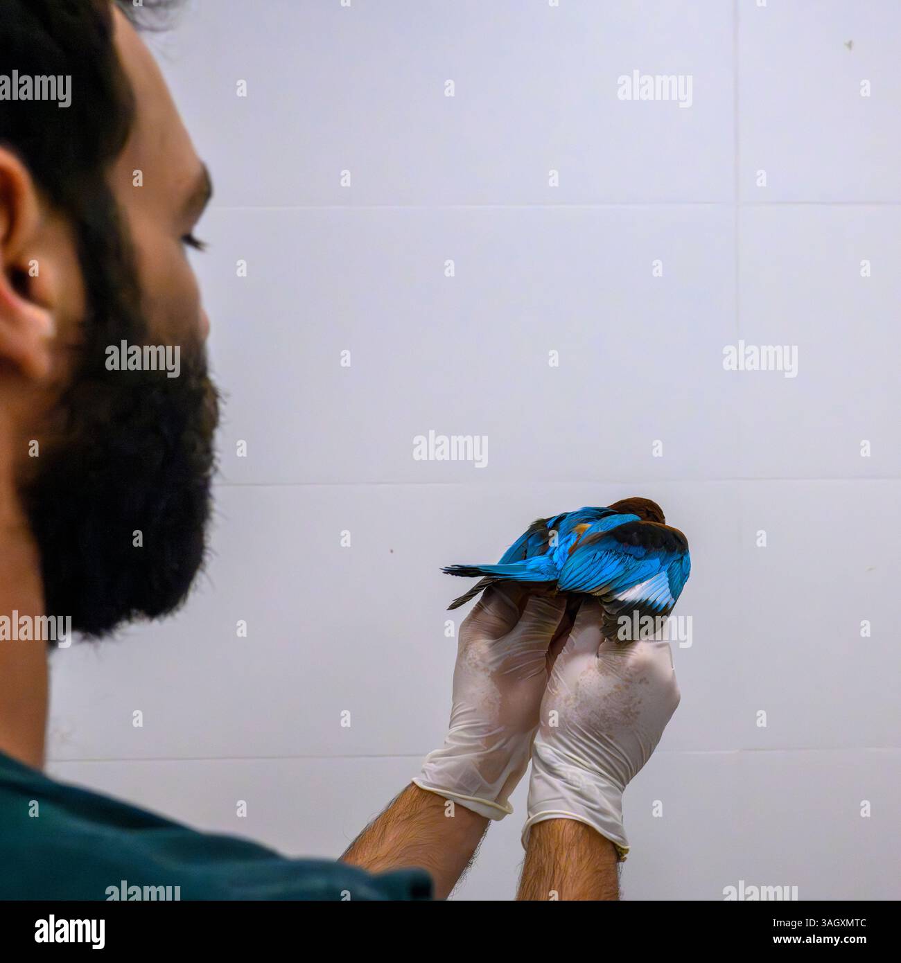 Dan, of the medical staff, is performing a physical examination of a ...