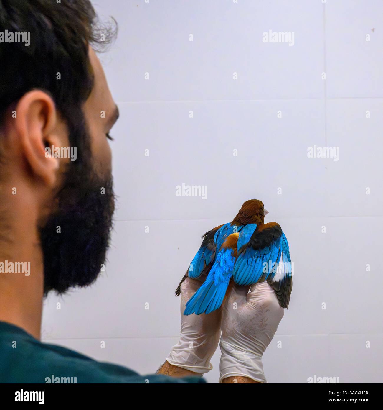 Dan, of the medical staff, is performing a physical examination of a ...