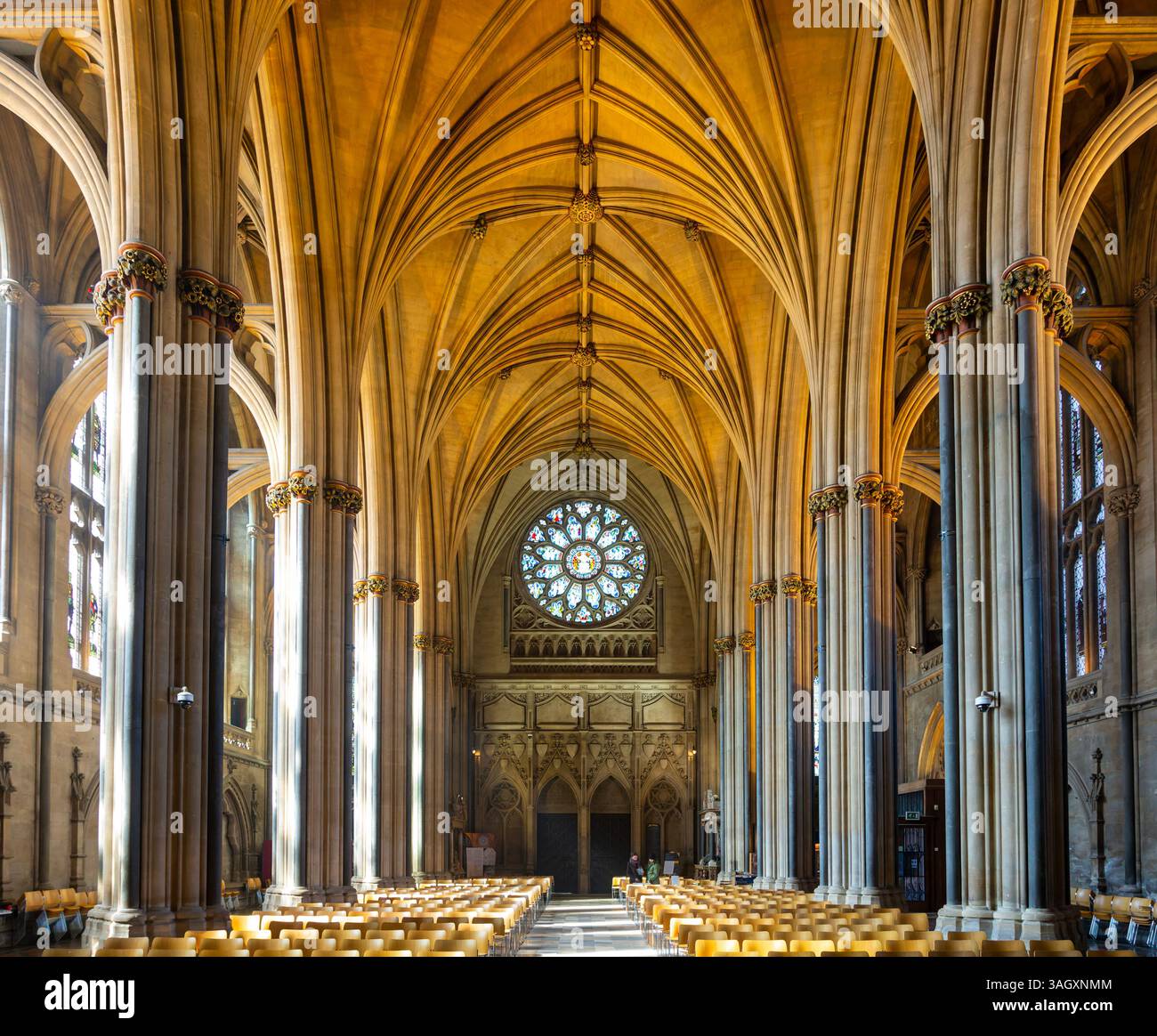 Vaulted roof ceiling inside Bristol cathedral church, Bristol, England ...