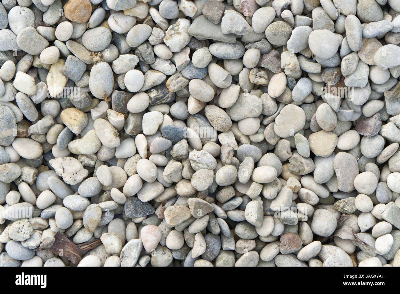 The image shows a collection of small, smooth pebbles in various shades ...