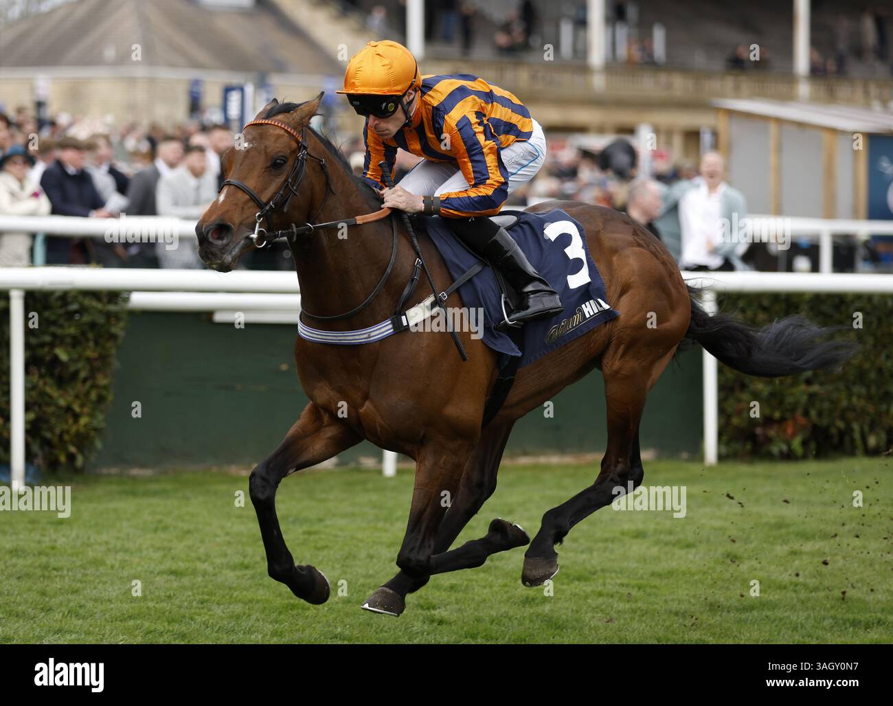 File photo dated 29-03-2025 of Dancing Gemini. Roger Teal will continue to follow the "Charyn ...