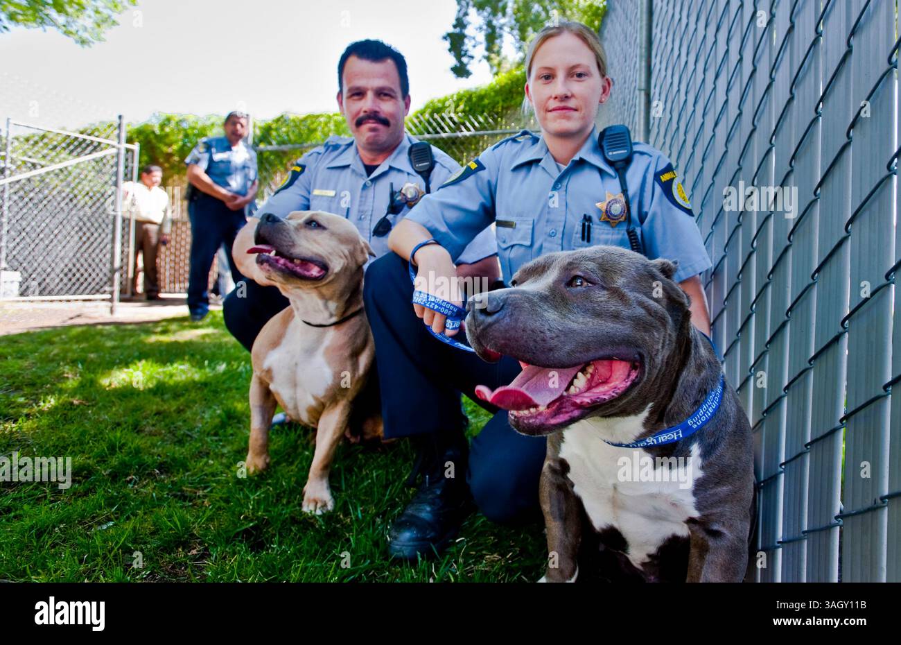 Crulla hi-res stock photography and images - Alamy