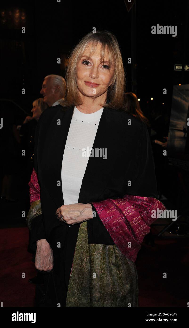 Anna hamilton phelan hi-res stock photography and images - Alamy