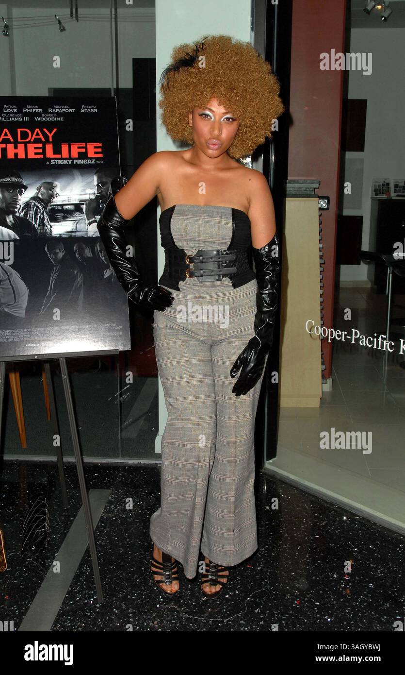 Premiere of "A Day in the Life" at the Pacific Design Center in West ...