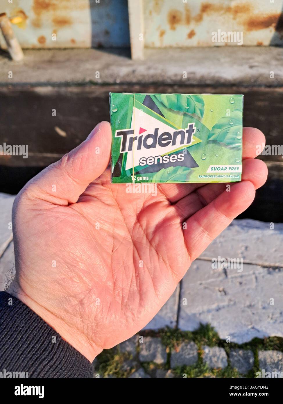 Hand holding a pack of trident senses rainforest mint sugar free ...