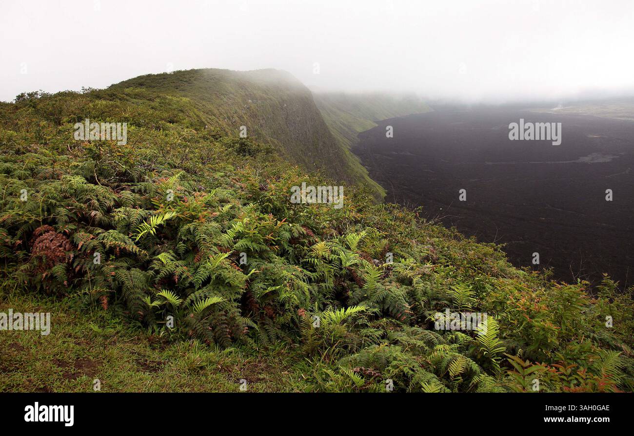 Isabela island attractions hi-res stock photography and images - Alamy