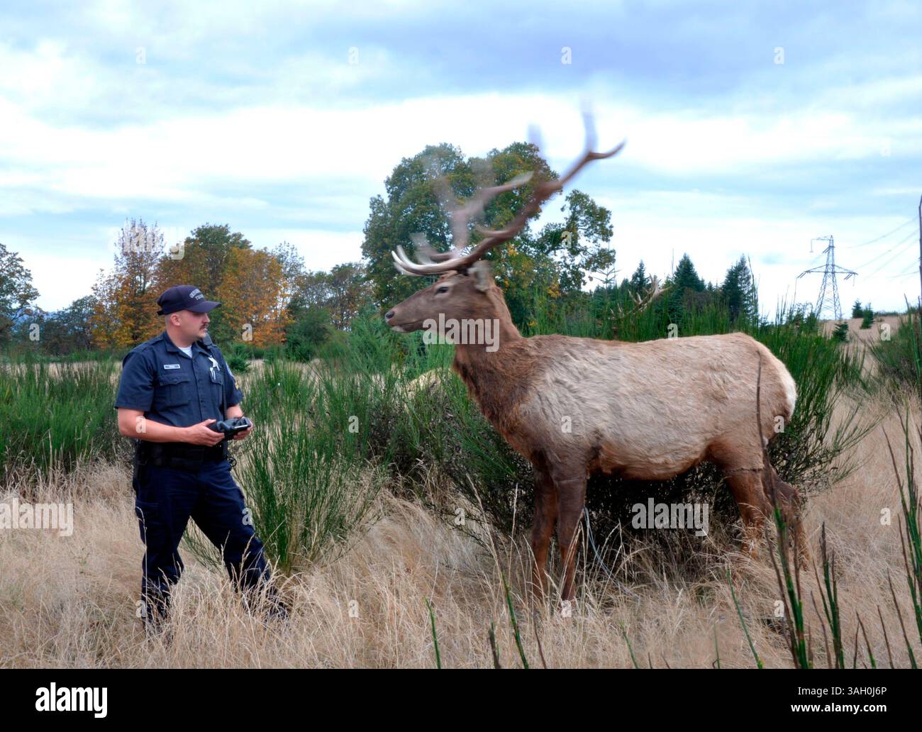 Oregon humane society hi-res stock photography and images - Alamy