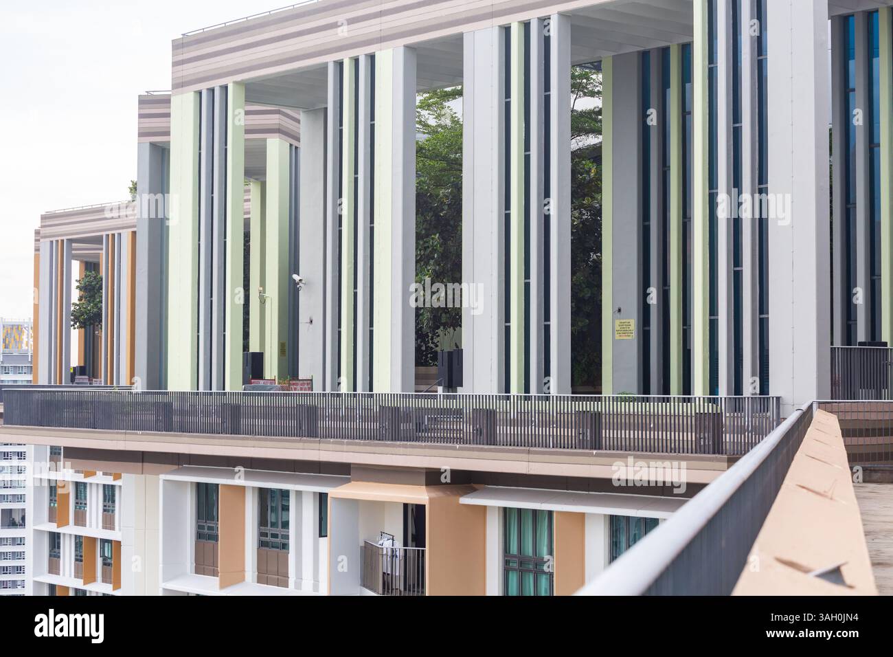 Trees are planted on buildings rooftop to beautify the surrounding ...