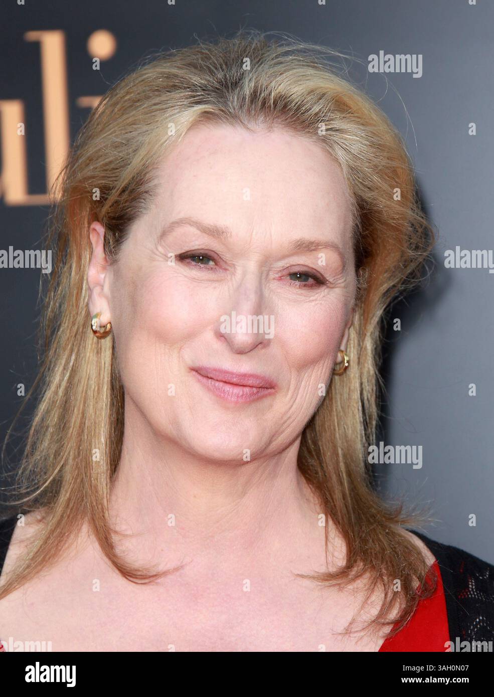 Jul 27, 2009 - Westwood, California, USA - Actress MERYL STREEP ...