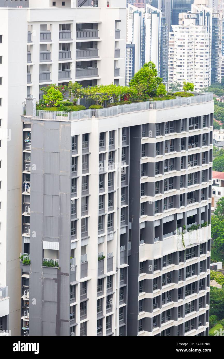 Trees are planted on residential building properties rooftop to ...