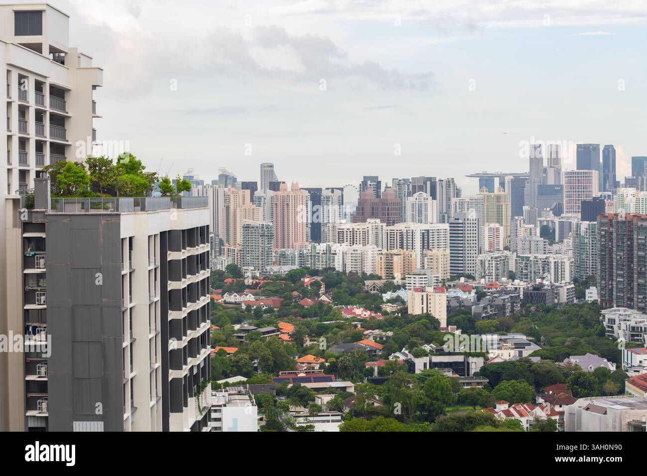 Trees planted on residential building rooftop to beautify the ...