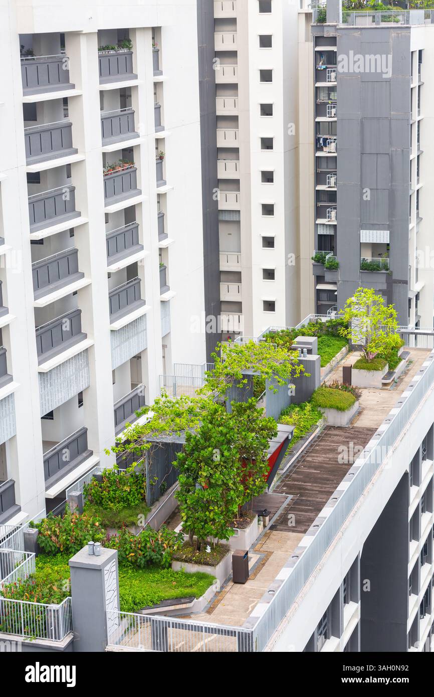 Trees are planted on residential building properties roof top to ...