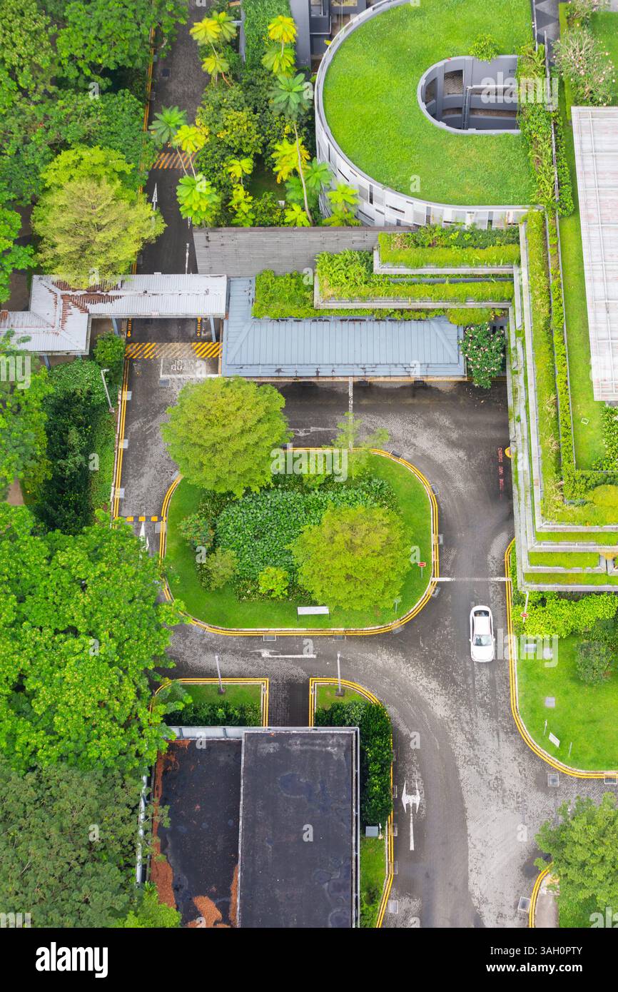 Aerial vertical view of trees and greenery are planted on buildings ...