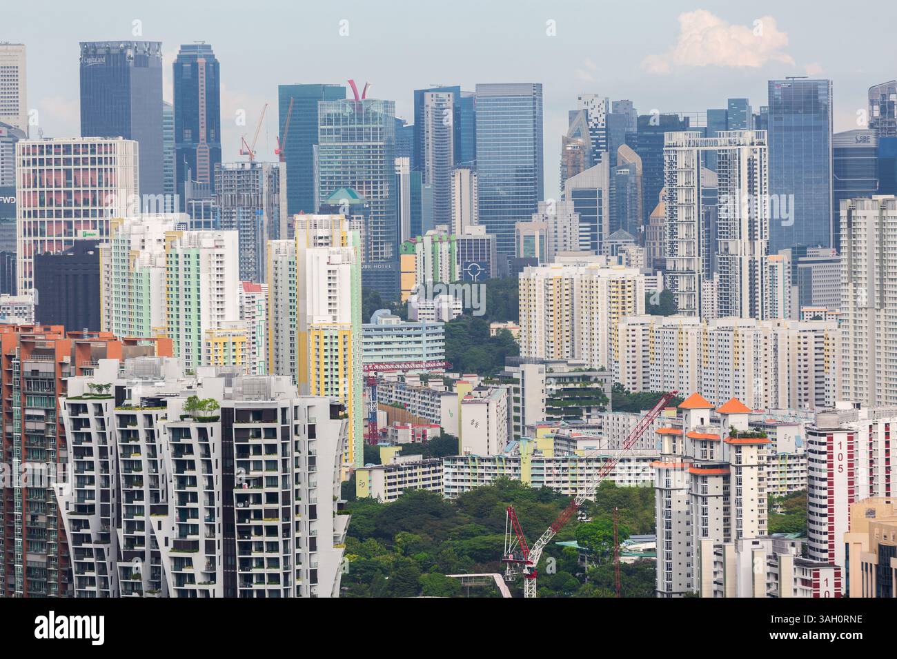Trees are planted on various buildings rooftop to enrich the ...