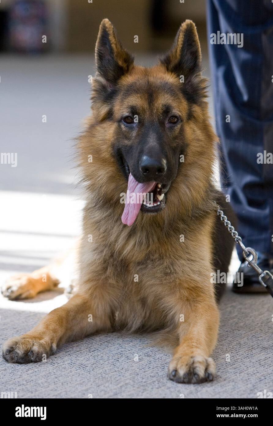 Nov 5, 2009 - Orange County, California, USA - The Orange County ...