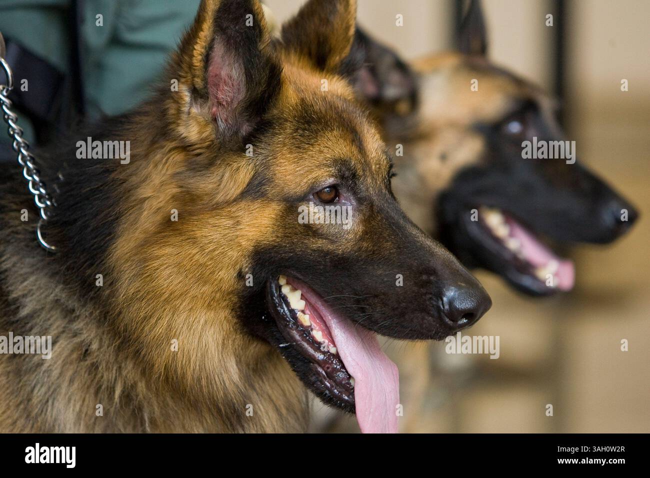 Nov 5, 2009 - Orange County, California, USA - The Orange County ...