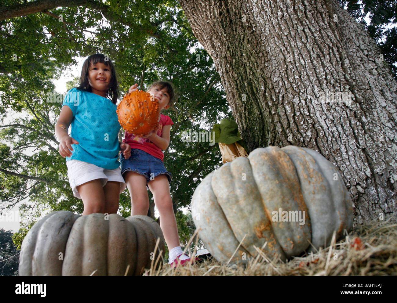 DOUGLAS R. CLIFFORD | Times.NP 313919 CLIF BEASTS 3 TUESDAY(10/27/2009 ...