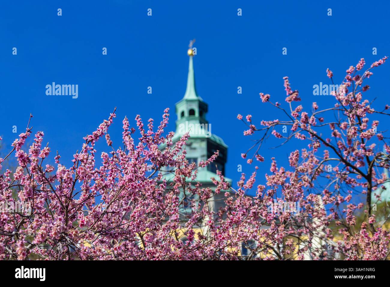 Frühling in Radebeul Historische Gaststätte Spitzhaus Radebeul Sachsen ...