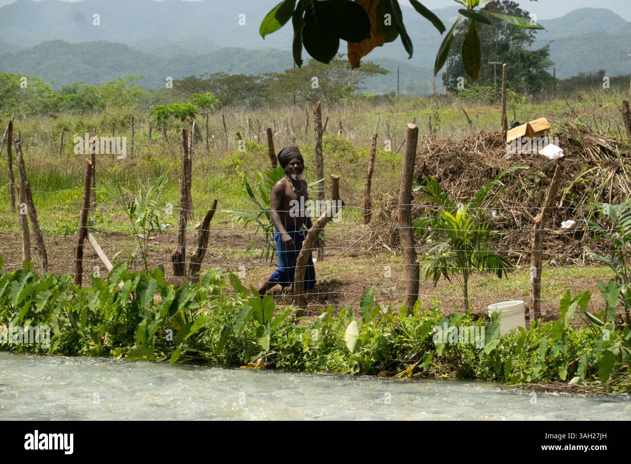 April 8, 2025, Westmoreland, Jamaica: A Rastaman walking along Roaring ...
