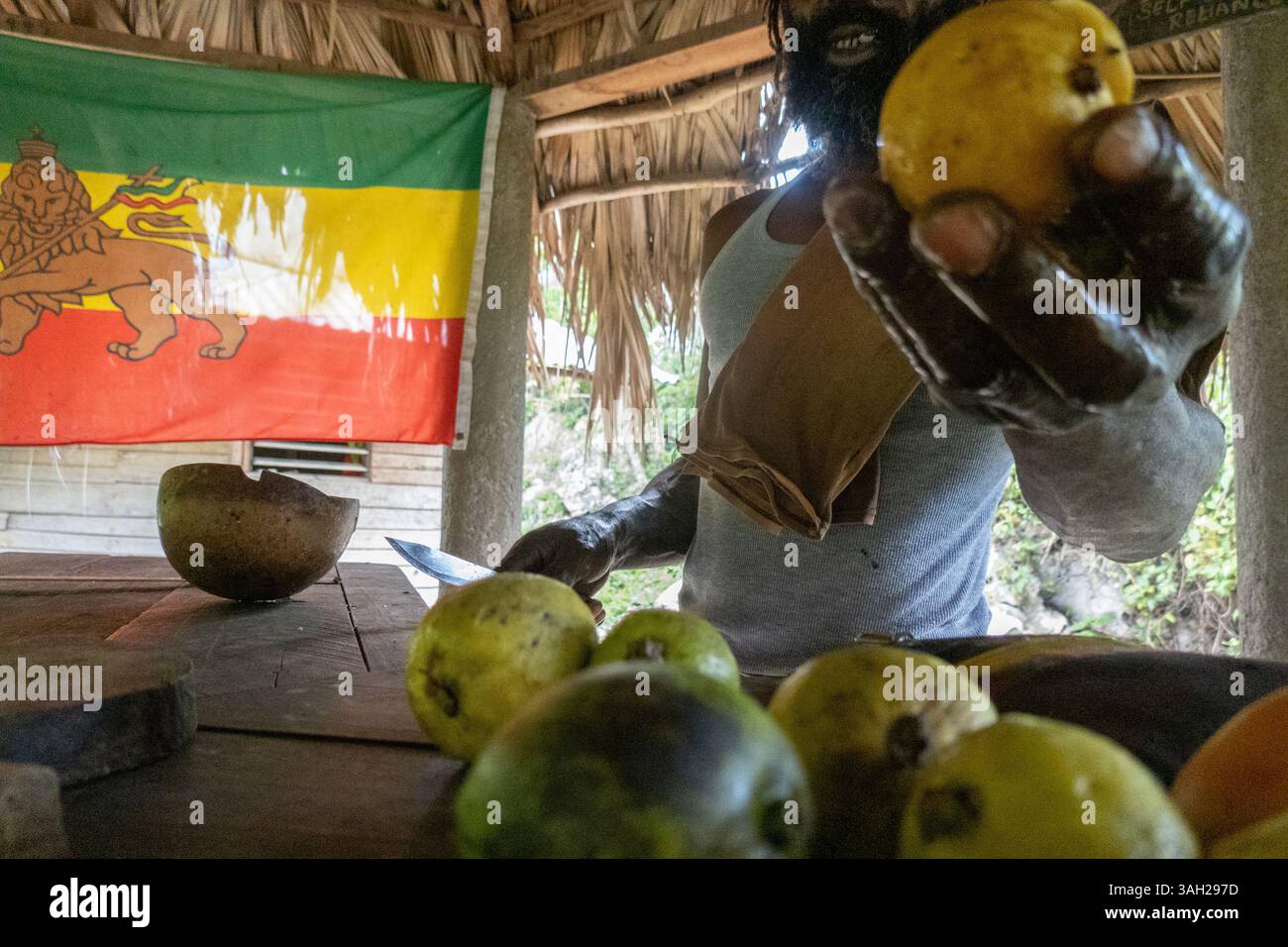 April 8, 2025, Westmoreland, Jamaica: A Rastaman by the name of The ...