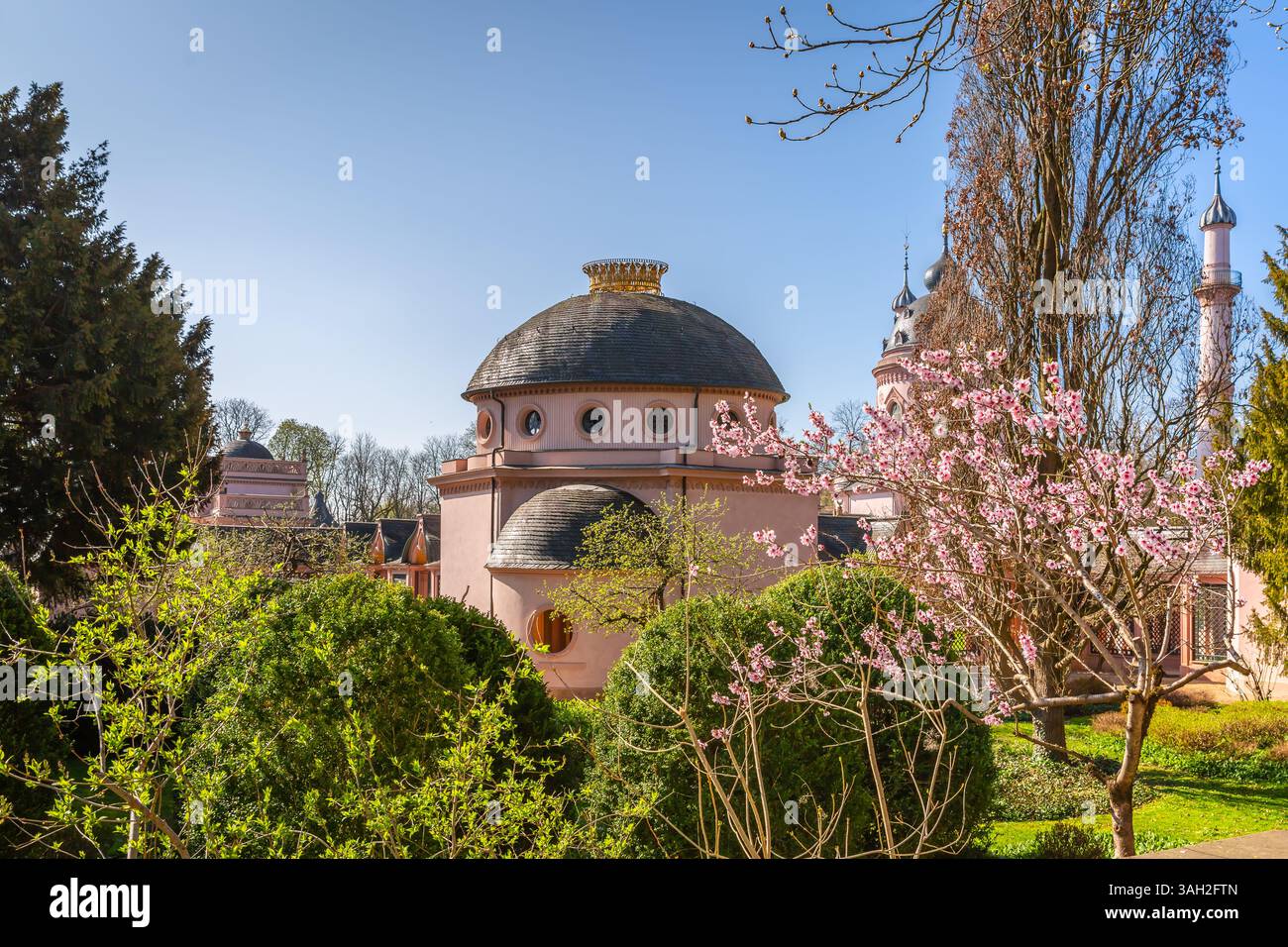 Cherry trees and pink Mosque at Schwetzingen Palace Gardens built ...