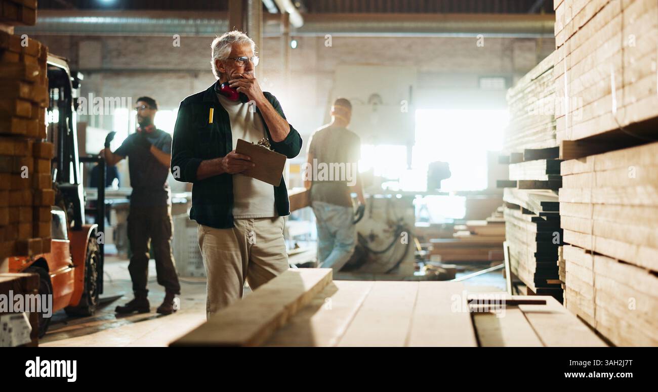 Carpenter, notes and thinking of wood in workshop for timber inspection ...