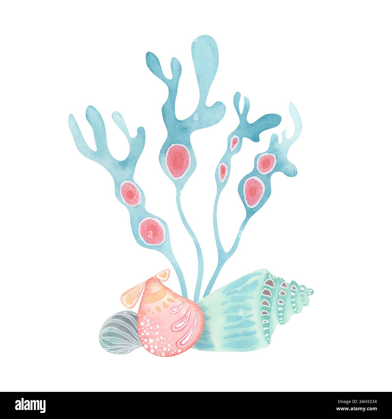 Stylized seaweed and shells. Decorative watercolor composition in ...