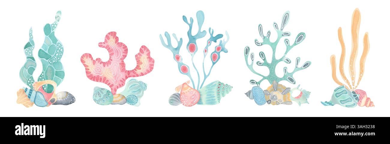 Ocean set - seaweed, corals and seashells. Charming collection of hand ...