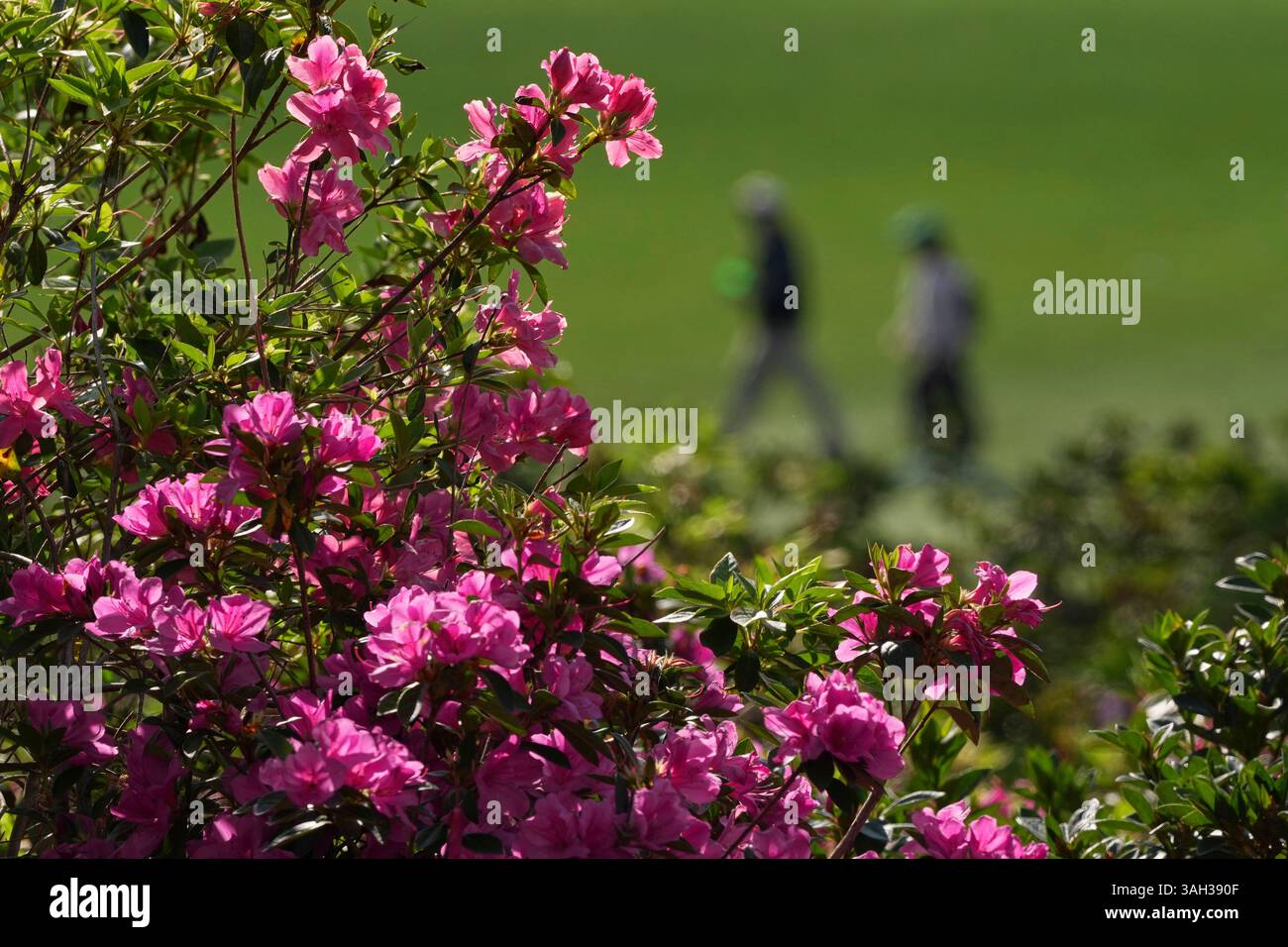 Patrons walk on the eighth hole during a practice around at the Masters ...