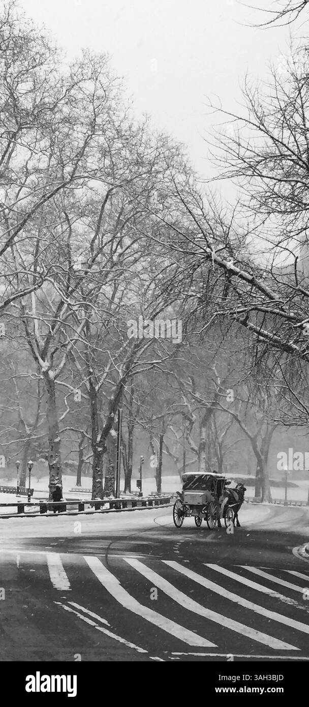 March 20, 2015 - New York, New York, USA - Snow fell for most of the ...