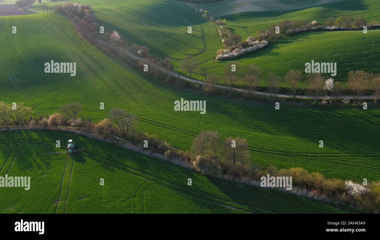 Green wavy hills with agricultural fields Stock Photo - Alamy
