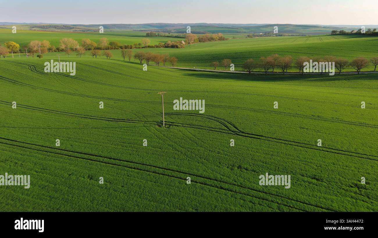 Green wavy hills with agricultural fields Stock Photo - Alamy