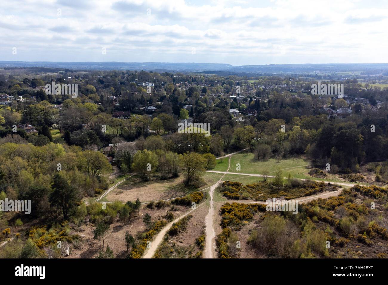 An aerial view of Oxshott Heath in Cobham, Surrey. Picture date ...
