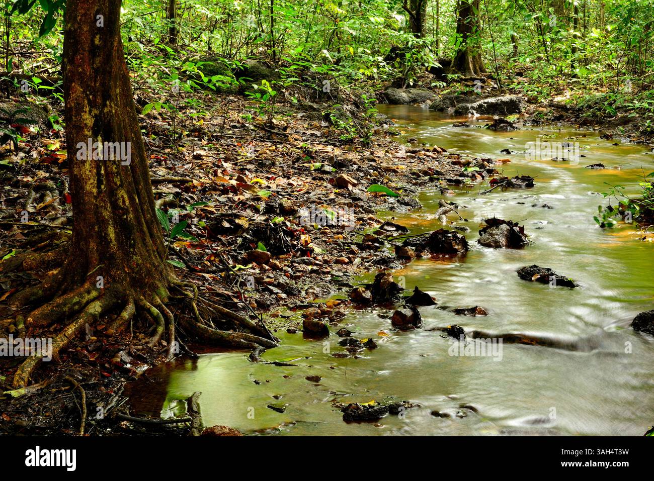 Goa nature reserve hi-res stock photography and images - Alamy