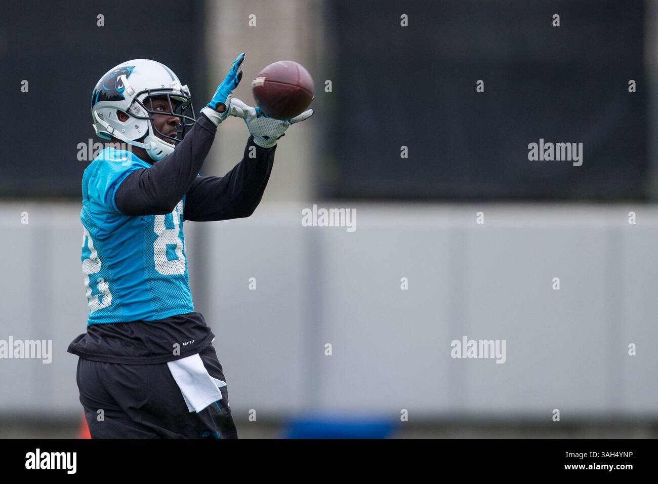 NFL 2015 Carolina Panthers WR number 82 Jerricho Cotchery catches the ...
