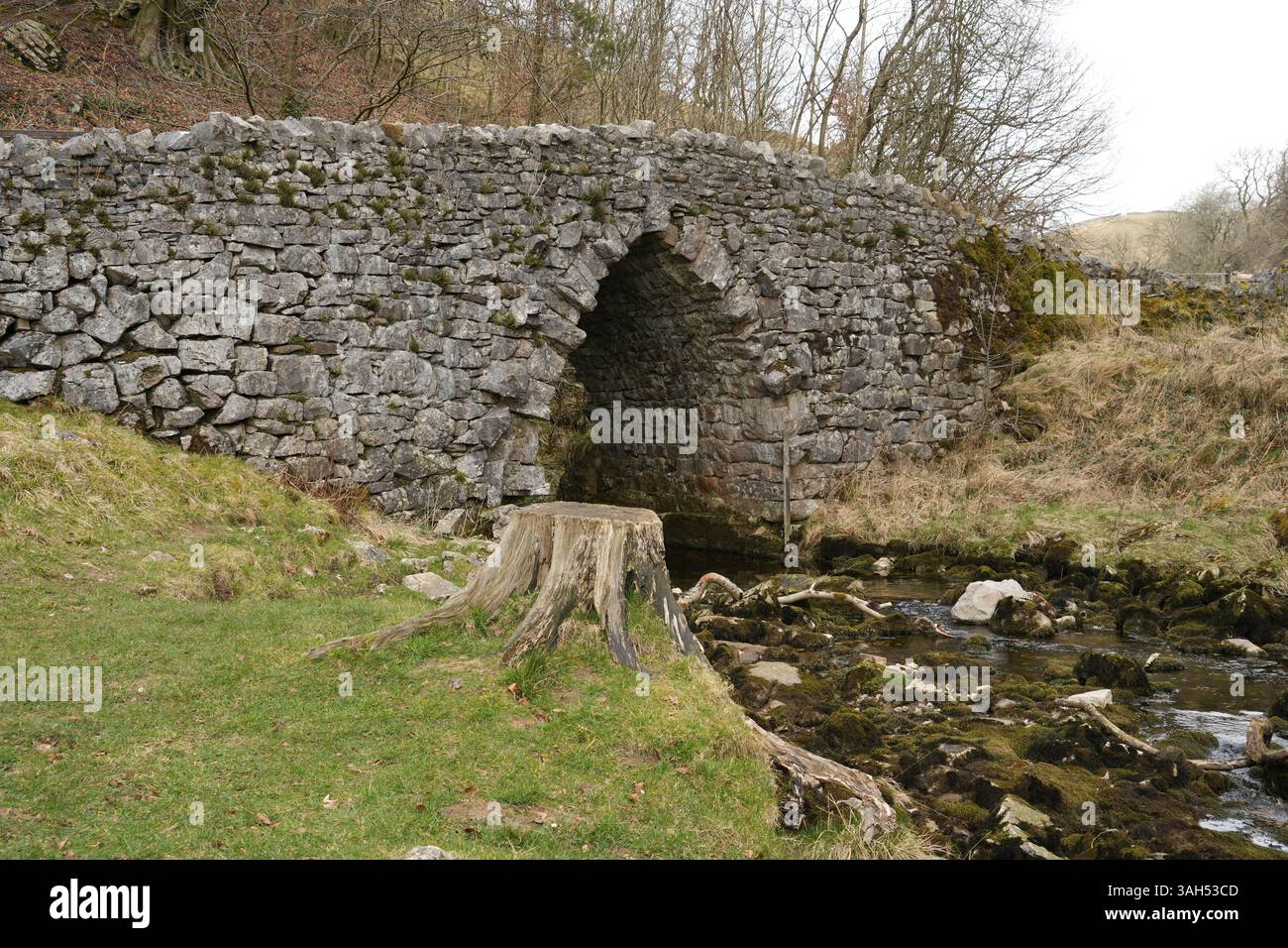A rustic old stone bridge over Clapham Beck in North Yorkshire Dales ...