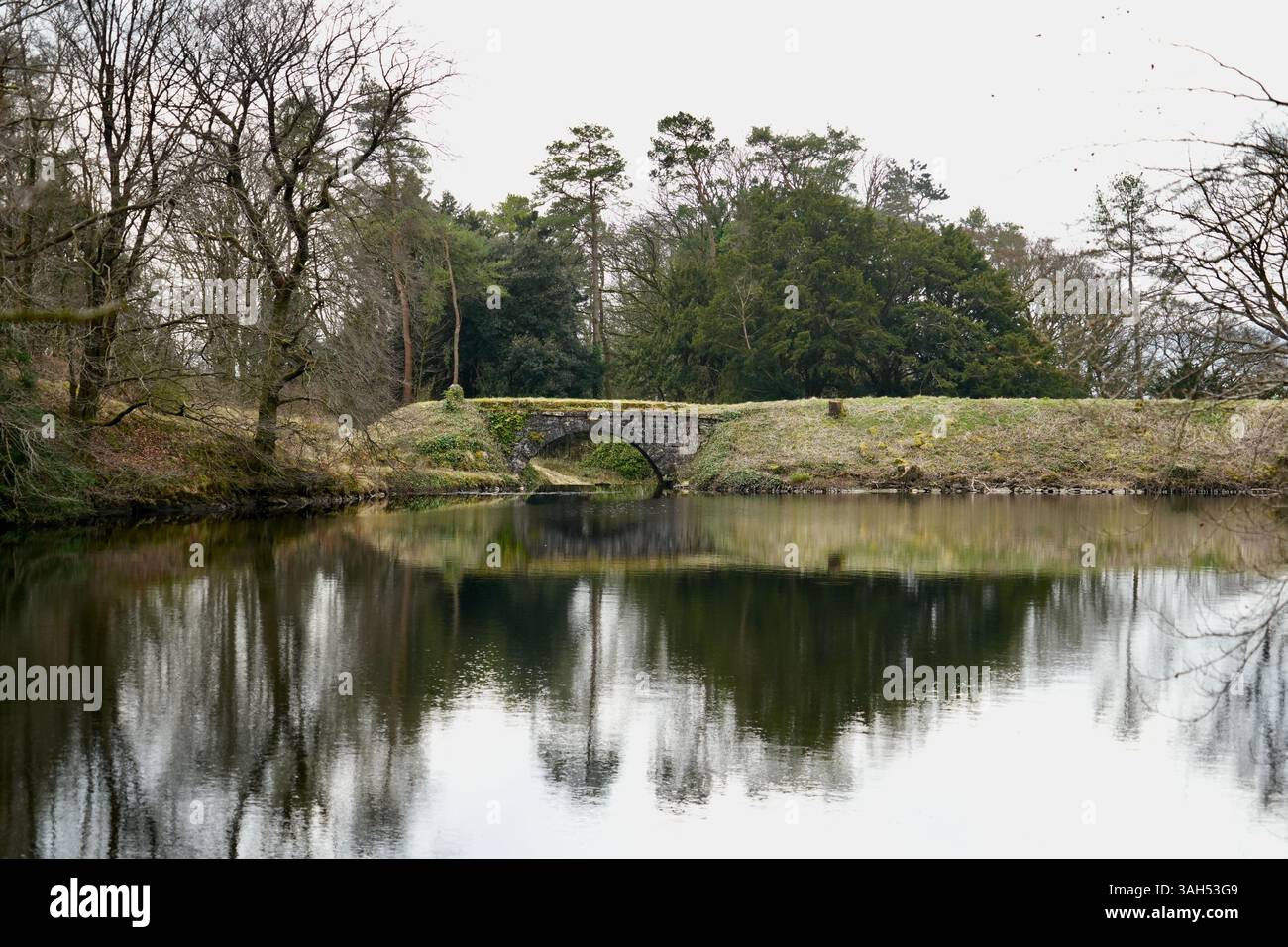 Stone bridge over Clapham Beck Lake with trees behind Stock Photo - Alamy