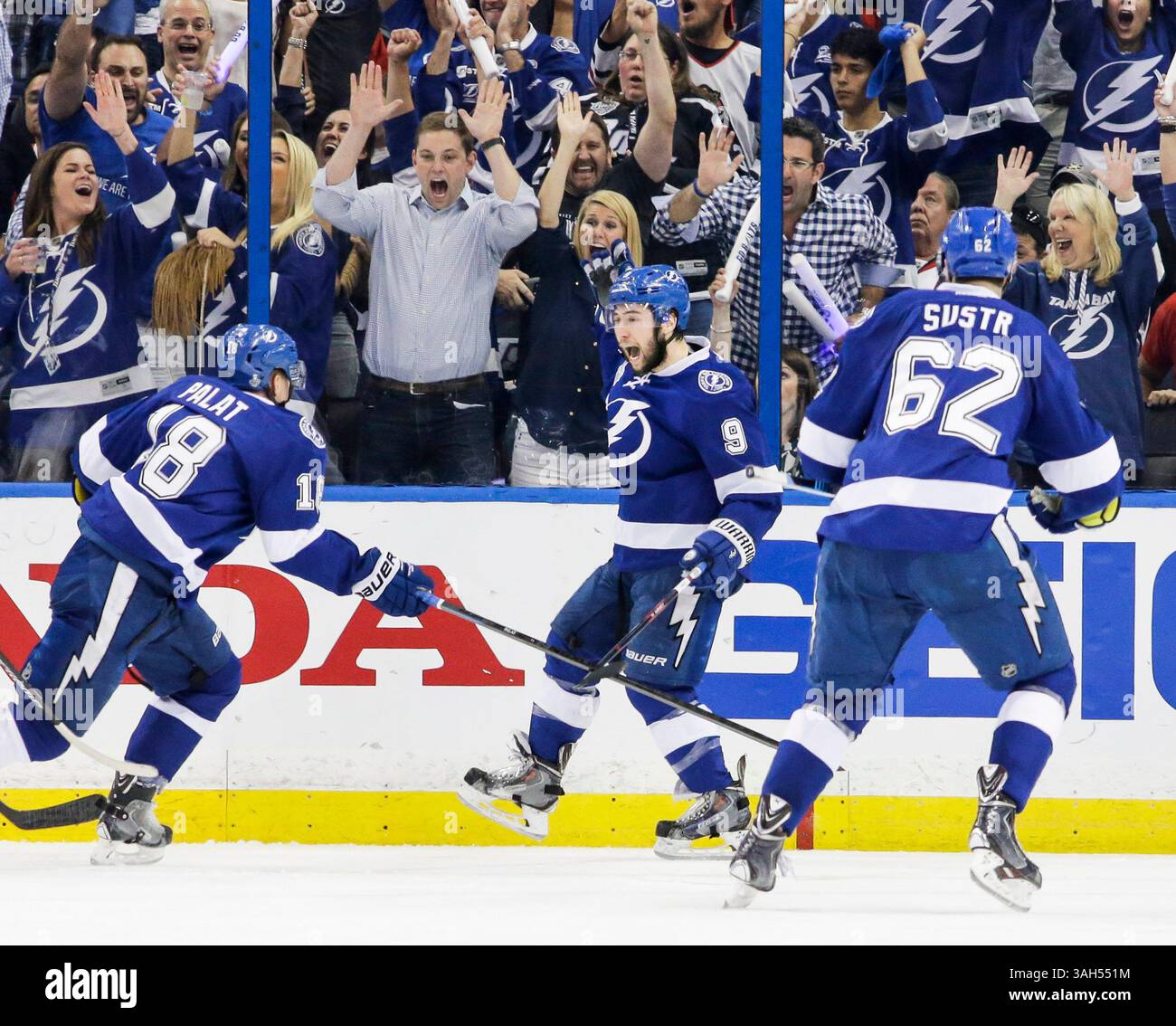 June 6, 2015 - Tampa, Florida, U.S. - DIRK SHADD | TIMES.Tampa Bay ...