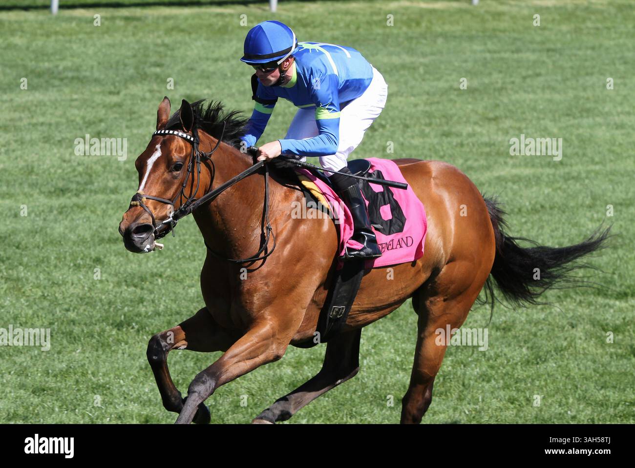 Chavez eyes hi-res stock photography and images - Alamy