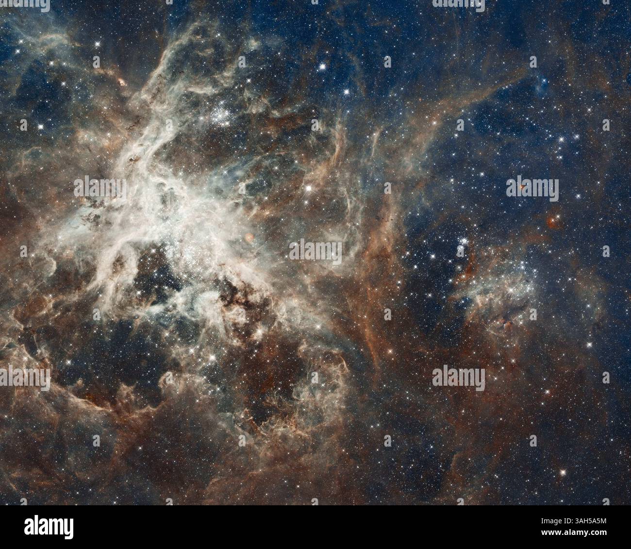 April 17, 2015 - ..Several million young stars are vying for attention ...