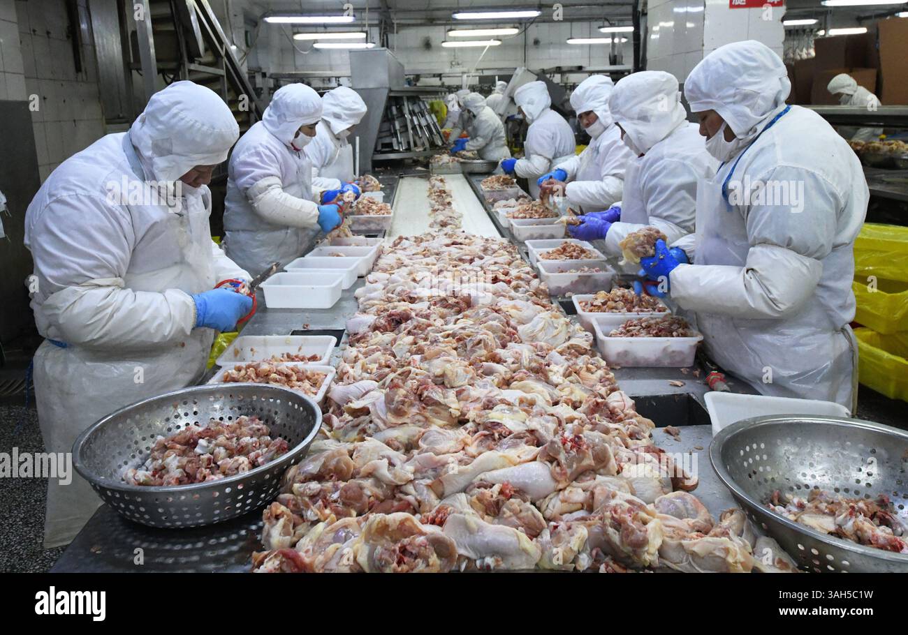 Workers work on a broiler processing line at the workshop of Huabao ...