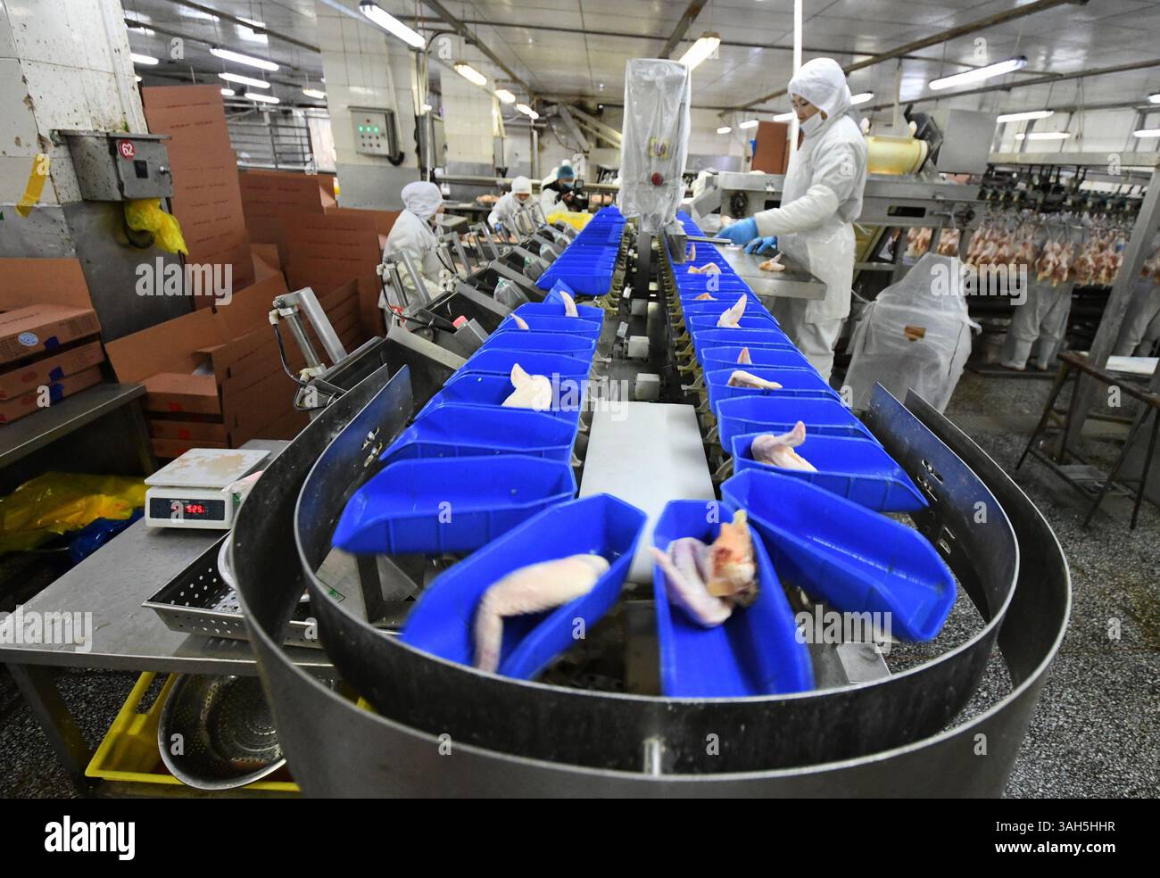 Workers work on a broiler processing line at the workshop of Huabao ...