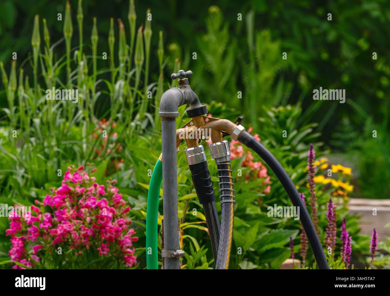 A Water tap with an adapter has multiple hoses attached to it, ready to ...