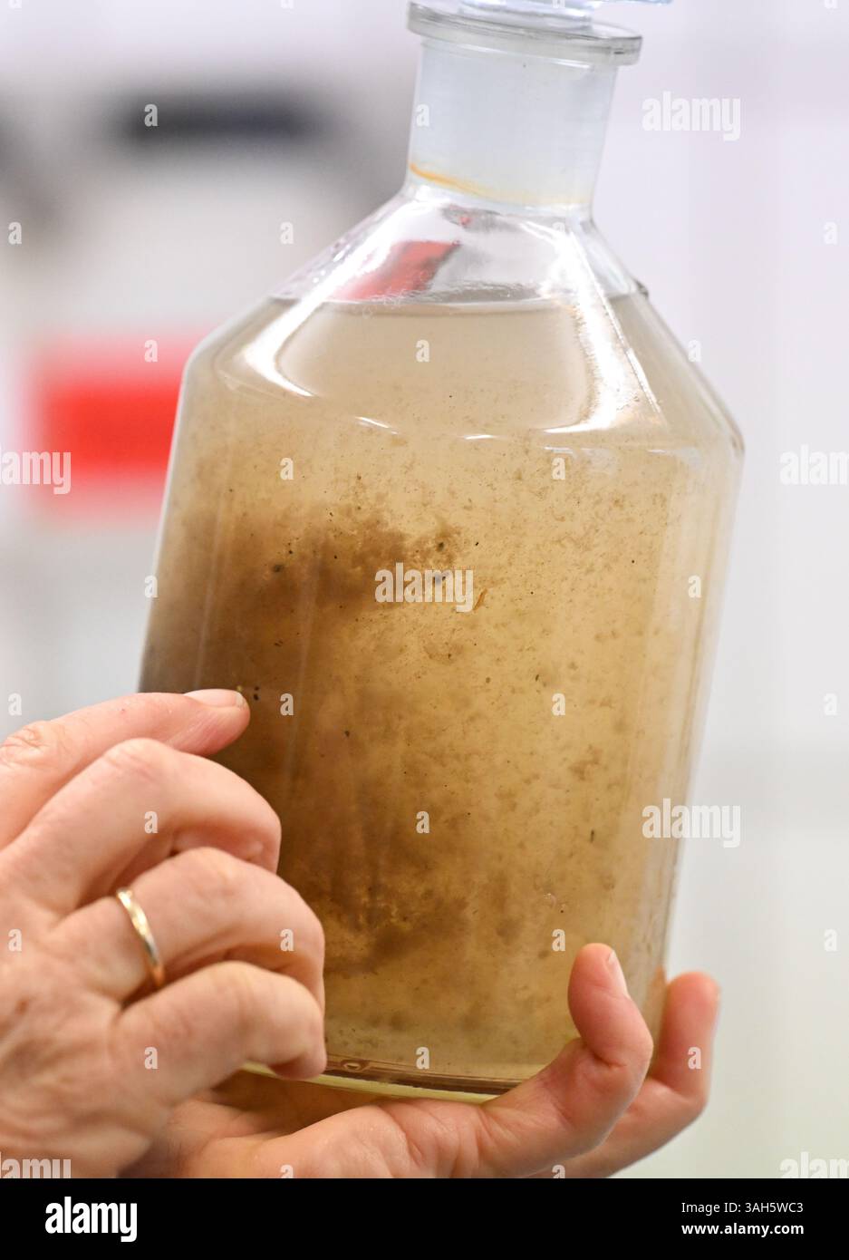 PRODUCTION - 09 April 2025, Hesse, Frankfurt/Main: Susanne Schmid, Head ...