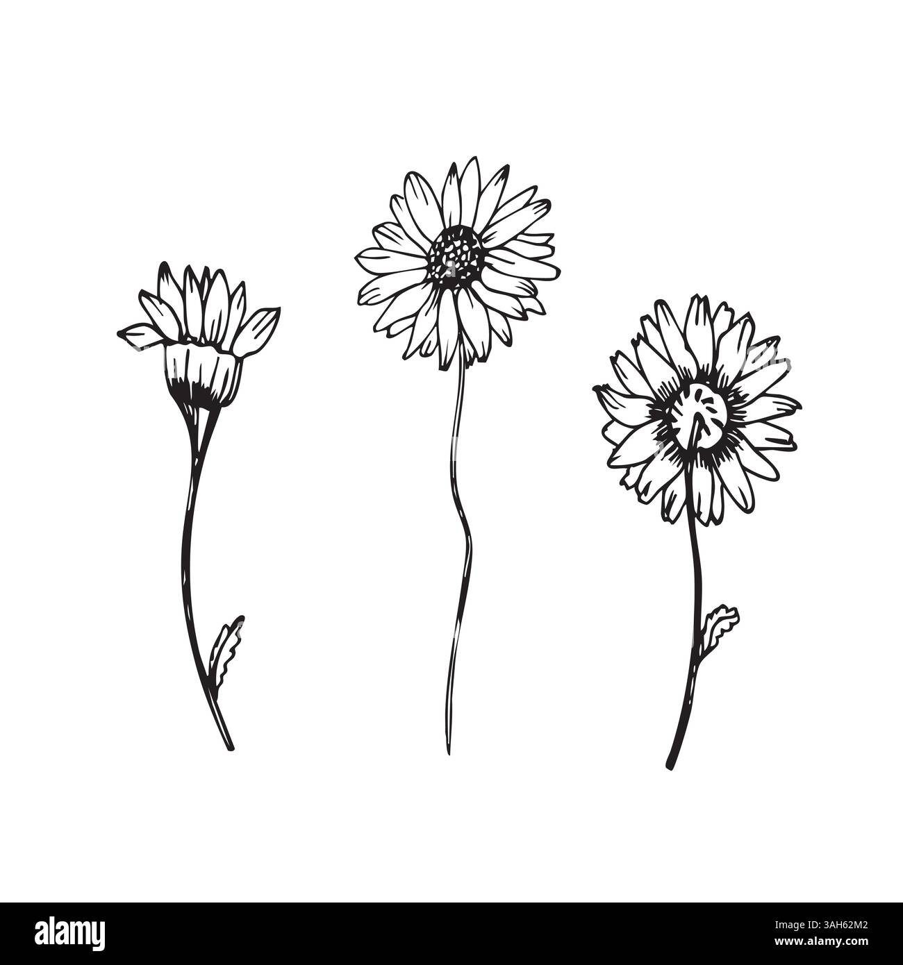 Minimalist collection set three Cut Out Stock Images & Pictures - Alamy